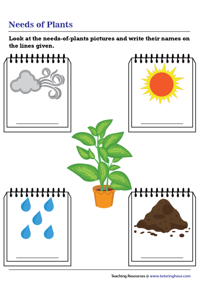 Plants Worksheets K5 Learning What Do Plants Need Worksheet Education 