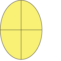 Identifying Halves, Thirds, and Fourths