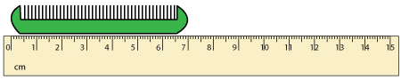 Measuring Objects Using Rulers | Centimeters