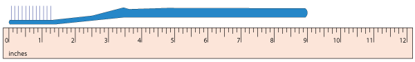 Measuring Objects Using Rulers | Inches