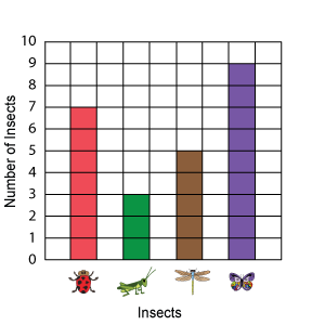 Reading and Interpreting Bar Graphs | 4 Categories