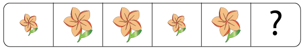 Size Pattern Recognition