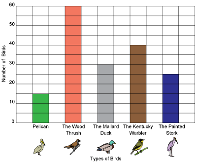 Interpreting Bar Graphs | Several Categories
